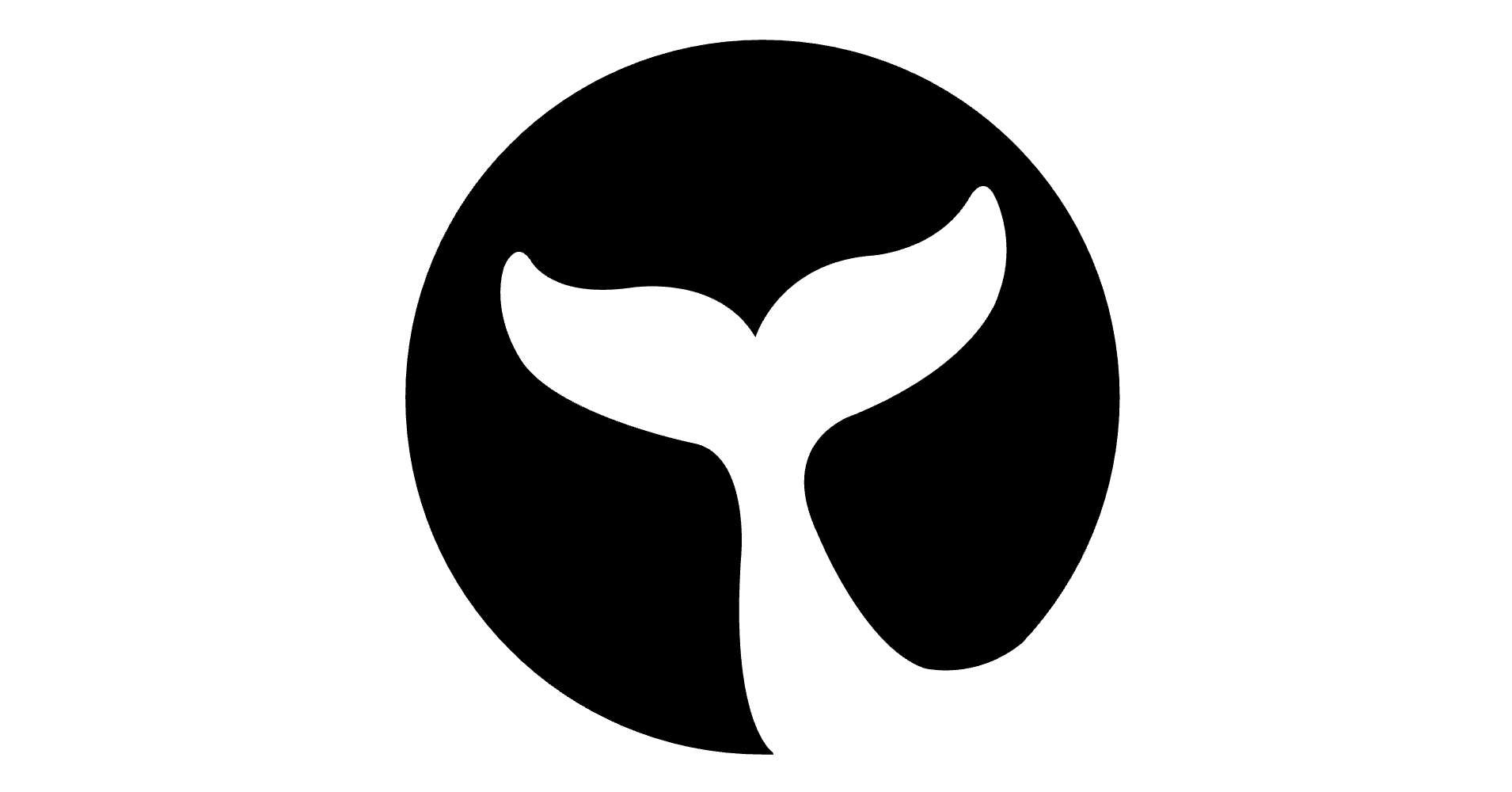 Hidden Whale AI | Financial Influencer Tracking Platform